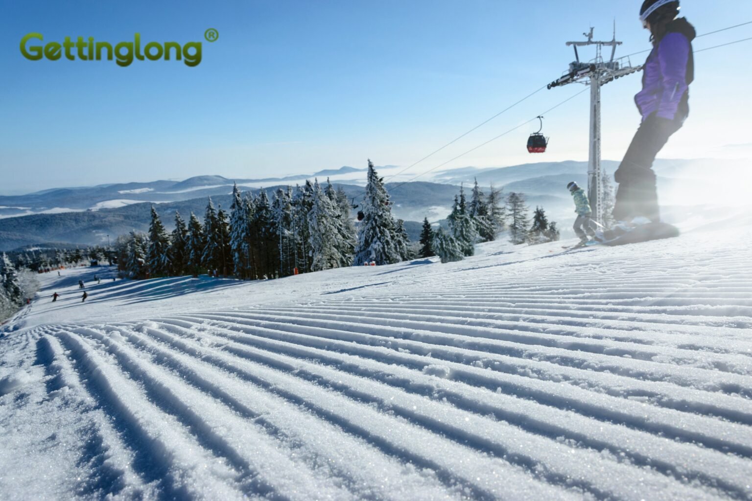 The Complete Guide to Snowboard Wood Core Production: Materials ...